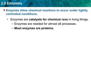Enzymes & Chemical Rxn Notes | PPT