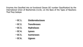 Enzymes classification | PDF