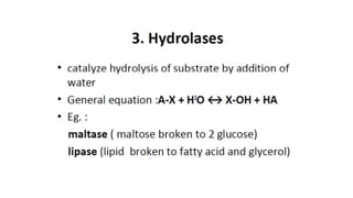 Enzymes classification | PPT