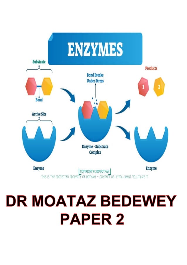 CHAPTER 5 ENZYMES CLASSIFIED PAPER TWO FOR IGCSE STUDENTS | PDF