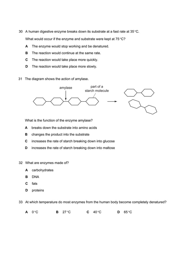 CHAPTER 5 ENZYMES CLASSIFIED PAPER TWO FOR IGCSE STUDENTS | PDF