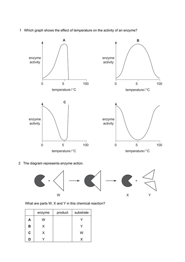 CHAPTER 5 ENZYMES CLASSIFIED PAPER TWO FOR IGCSE STUDENTS | PDF