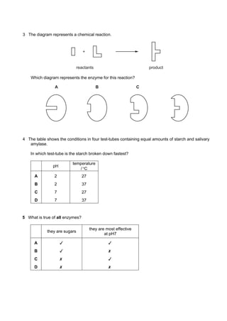 CHAPTER 5 ENZYMES CLASSIFIED PAPER TWO FOR IGCSE STUDENTS | PDF