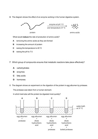 CHAPTER 5 ENZYMES CLASSIFIED PAPER TWO FOR IGCSE STUDENTS | PDF