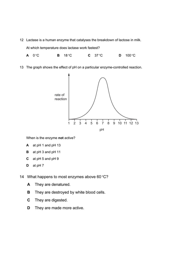 CHAPTER 5 ENZYMES CLASSIFIED PAPER TWO FOR IGCSE STUDENTS | PDF