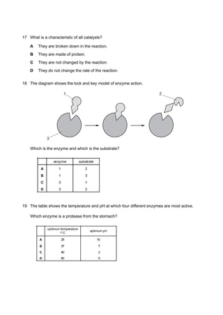 CHAPTER 5 ENZYMES CLASSIFIED PAPER TWO FOR IGCSE STUDENTS | PDF