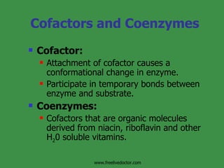 Enzymes&Energy | PPT