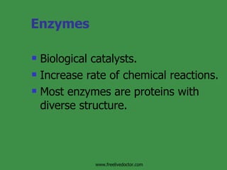 Enzymes&Energy | PPT