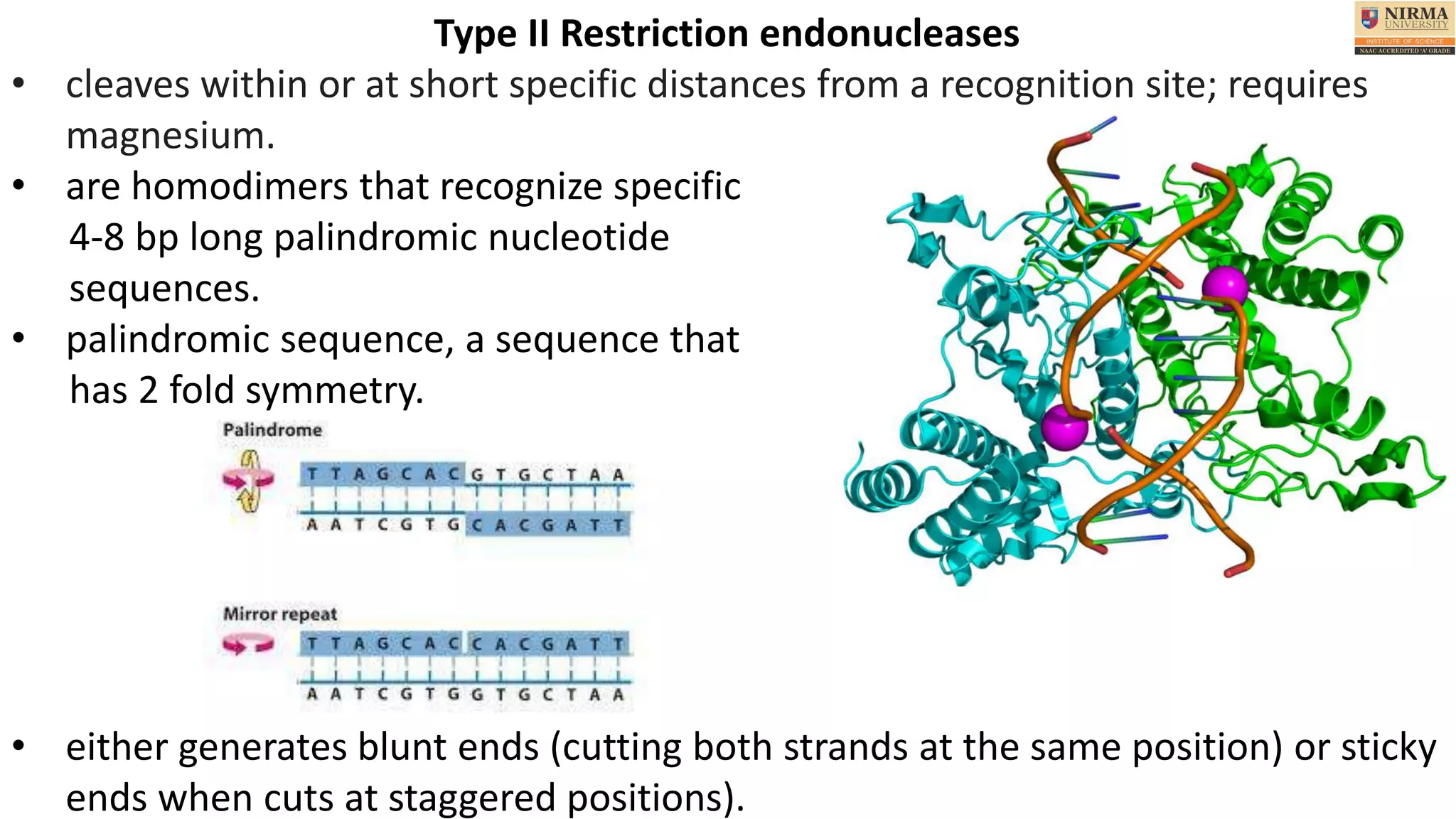 Enzymes for gene cloning.pptx