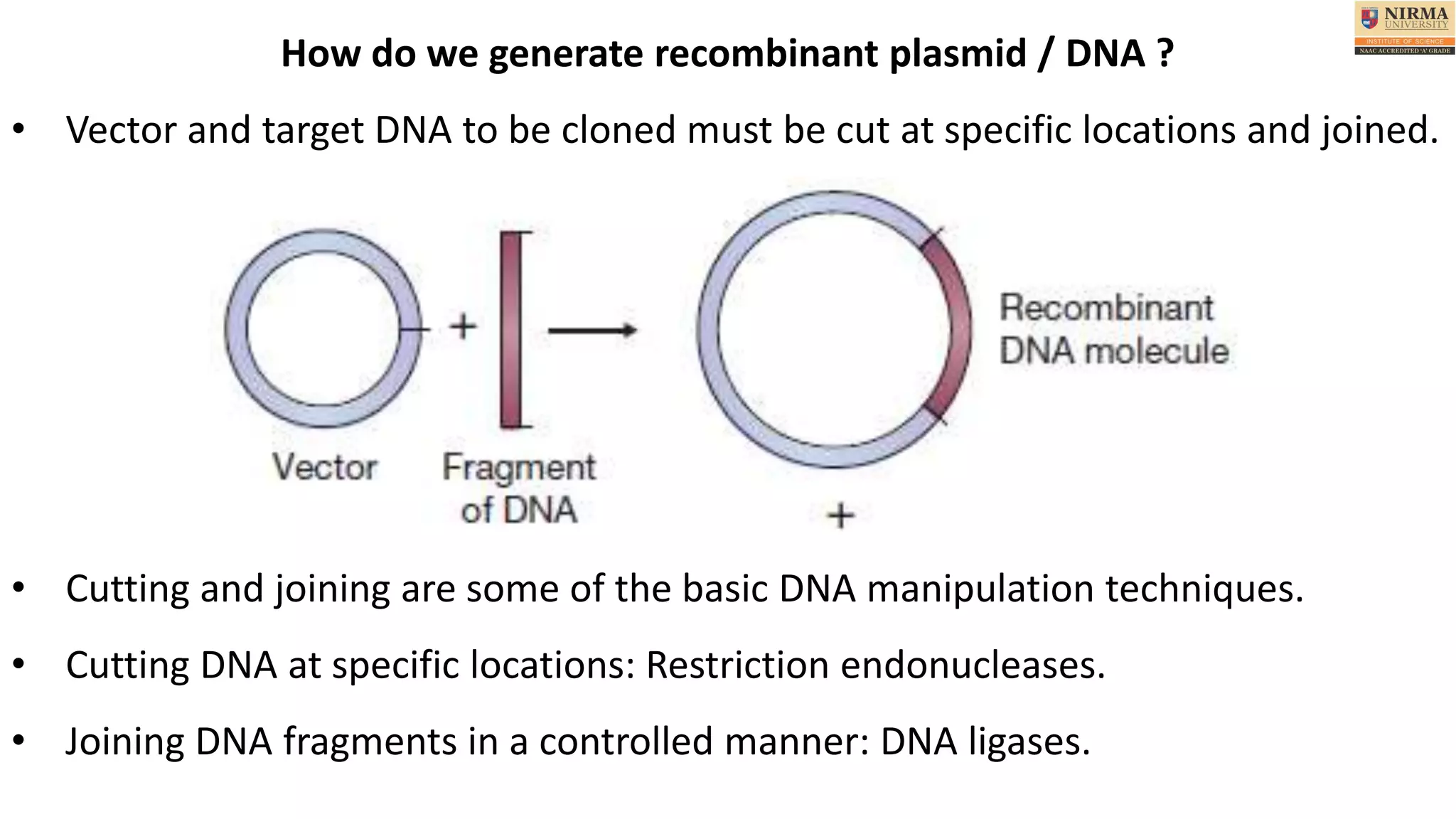 Enzymes for gene cloning.pptx