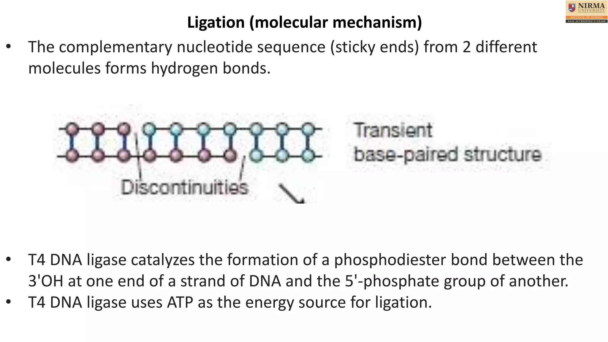 Enzymes for gene cloning.pptx