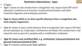 Enzymes for gene cloning.pptx