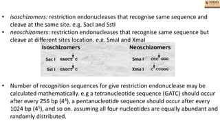 Enzymes for gene cloning.pptx