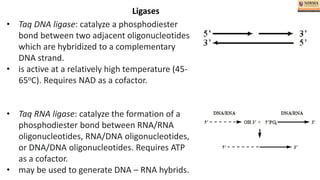 Enzymes for gene cloning.pptx