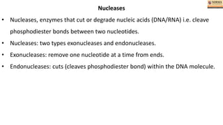 Enzymes for gene cloning.pptx