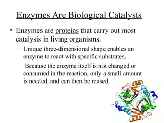 Enzymes for hbs | PPT