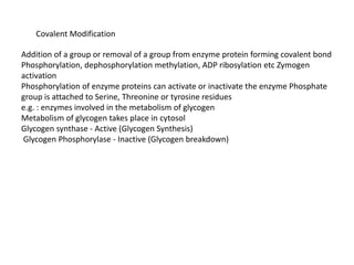 Enzymes | PDF