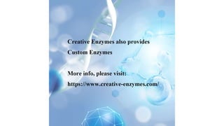 Enzymes for research and diagnostic use | PPT