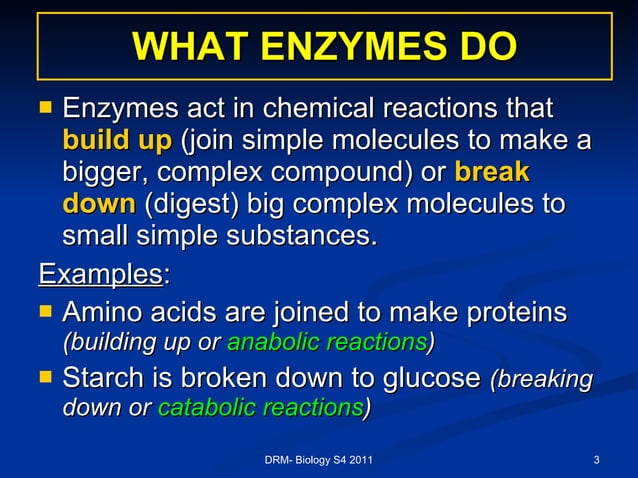 Enzymes for S4 2011-IGCSE LEVEL | PPS | Chemistry | Science