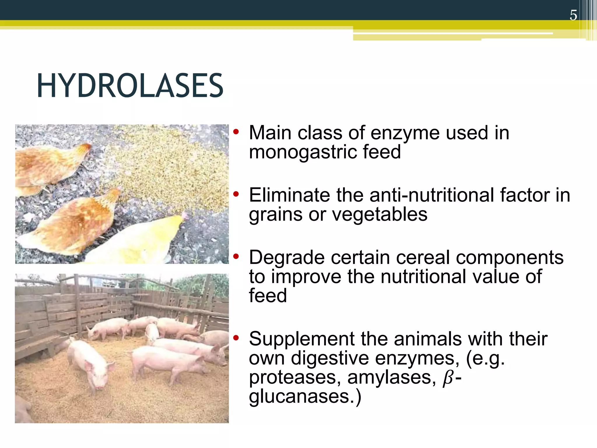Enzymes in animal feed | PPTX