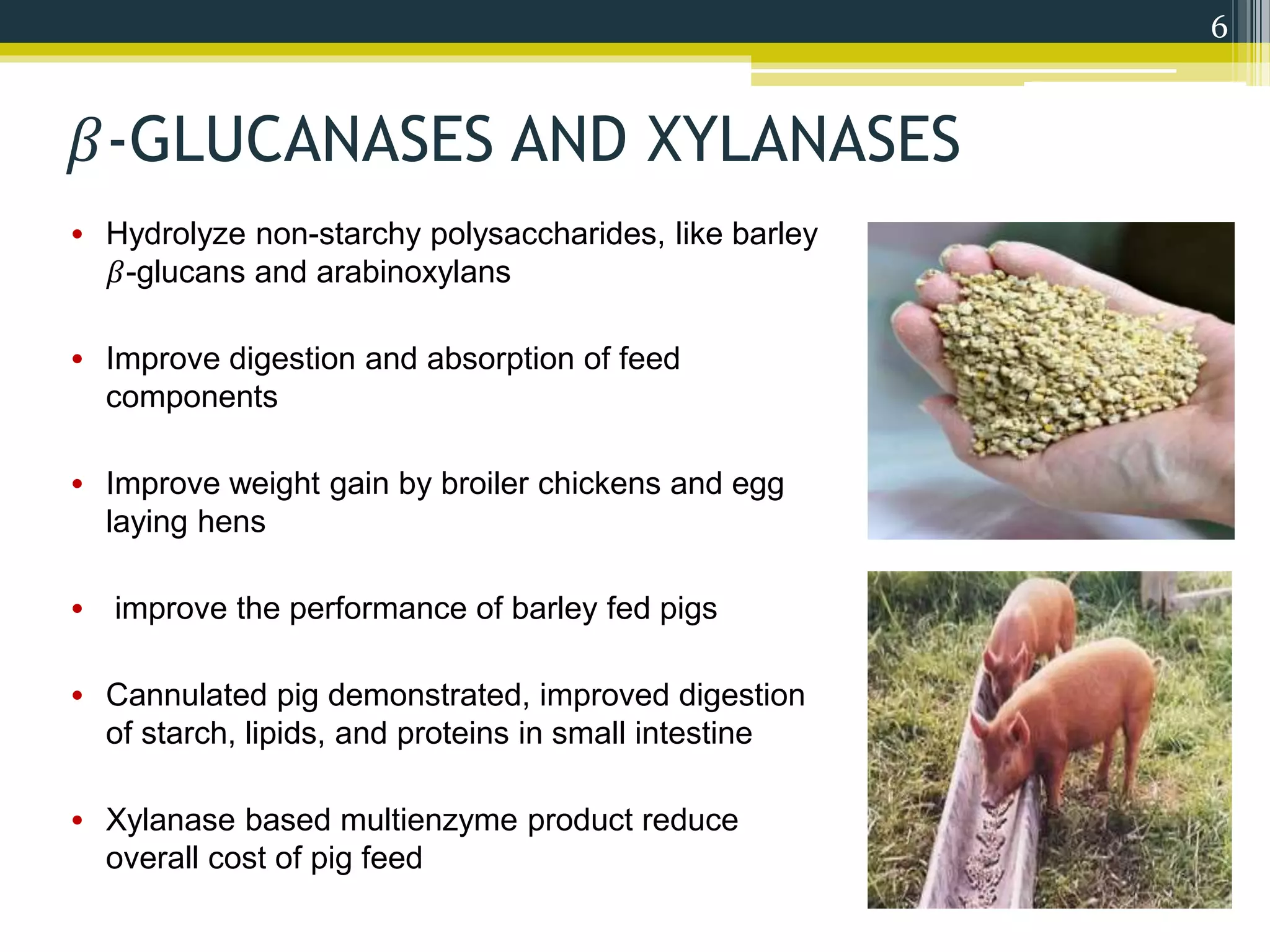 Enzymes in animal feed | PPTX