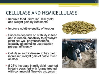 Enzymes in animal feed | PPTX