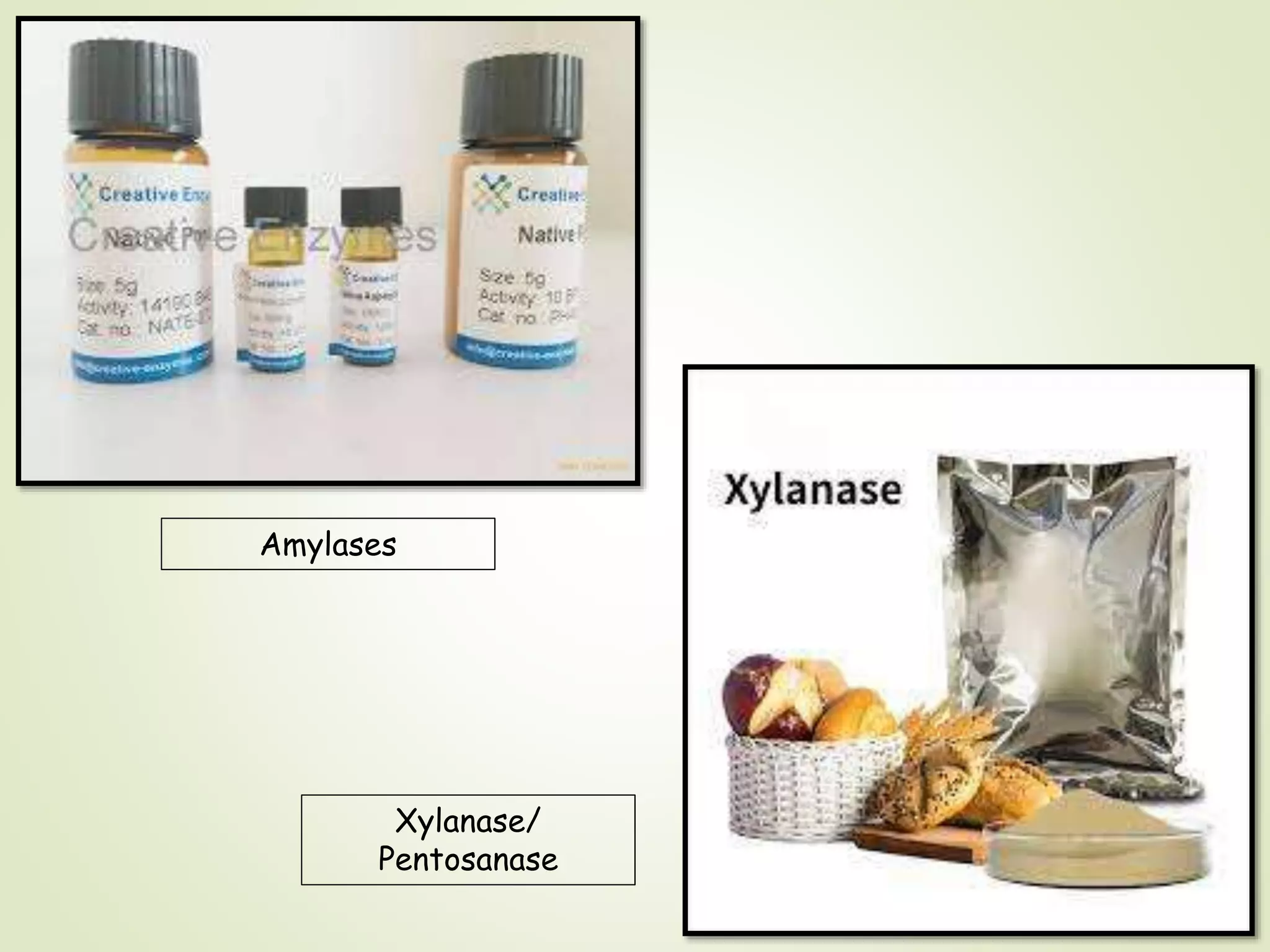 Enzymes used in Bakery Industry | PPTX