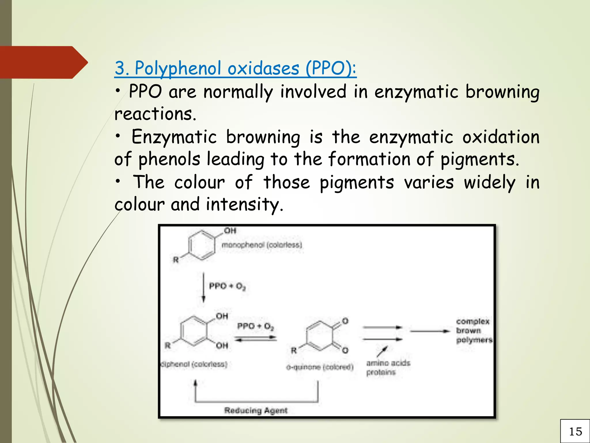 Enzymes used in Bakery Industry | PPTX