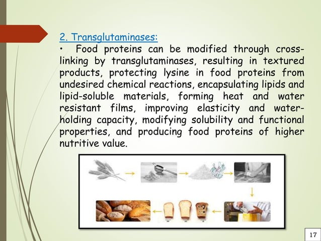 Enzymes used in Bakery Industry.pptx