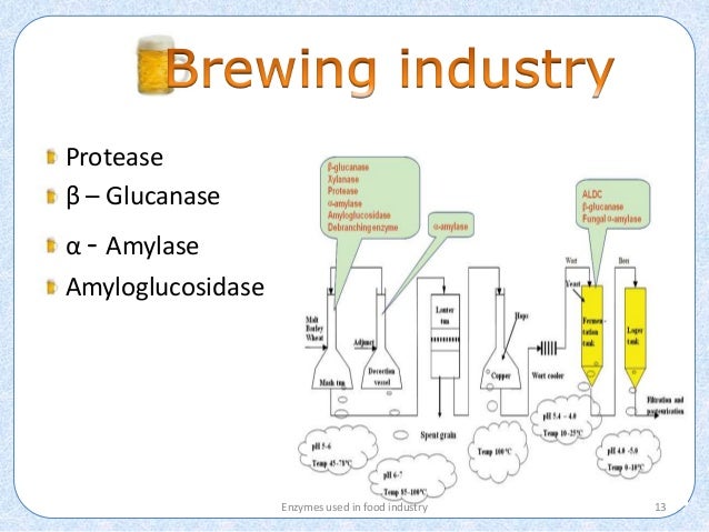 Enzymes in food industry