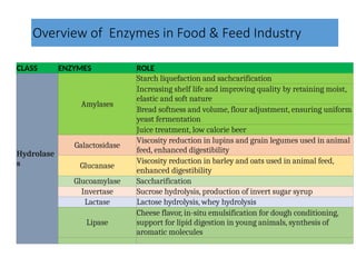 Enzymes in Food Biotechnology: Origin, role and uses ppt.pptx