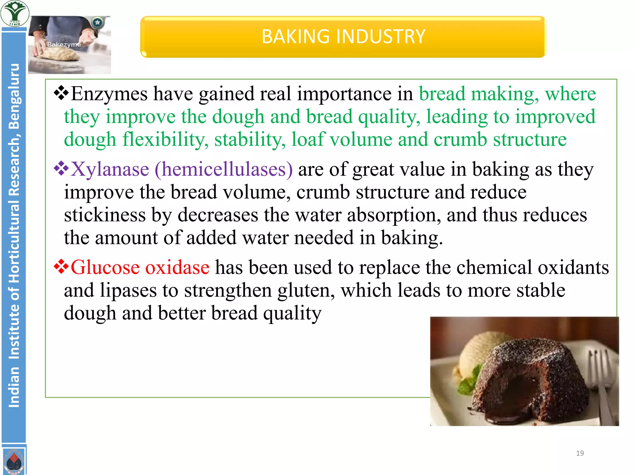 Application of Enzymes in food industry | PDF