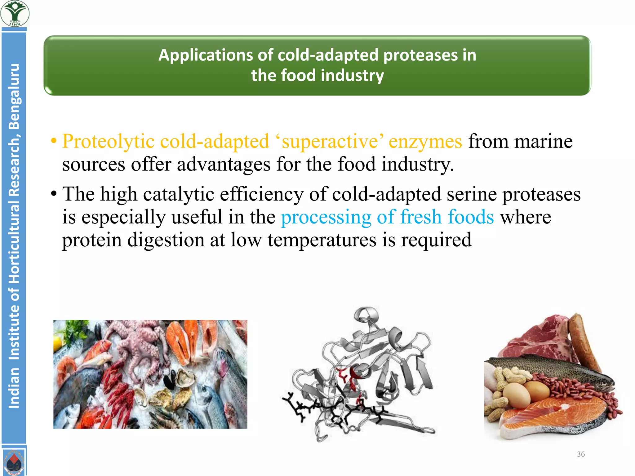 Application of Enzymes in food industry | PDF