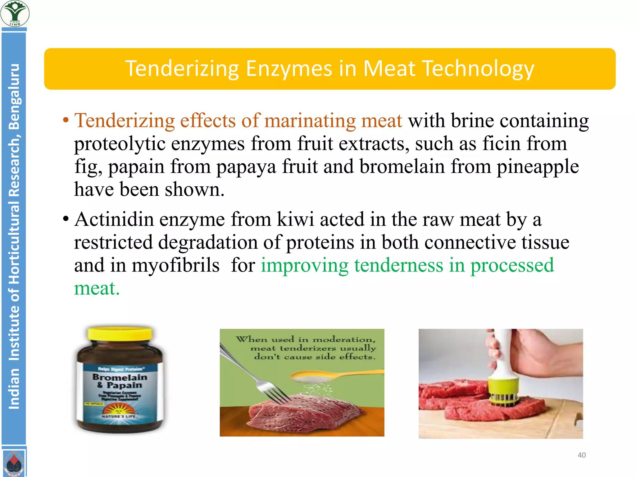 Application of Enzymes in food industry | PDF