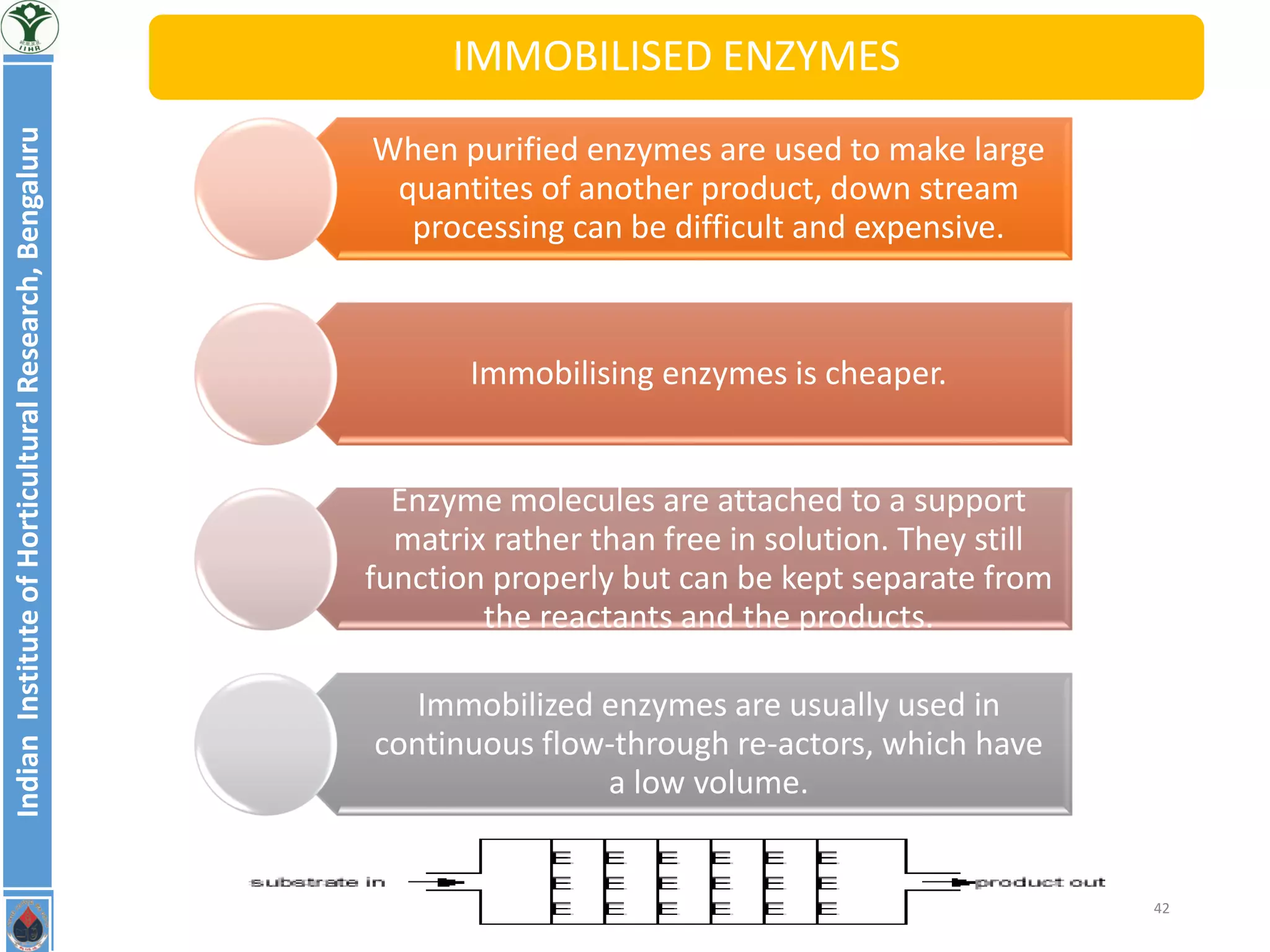 Application of Enzymes in food industry | PDF