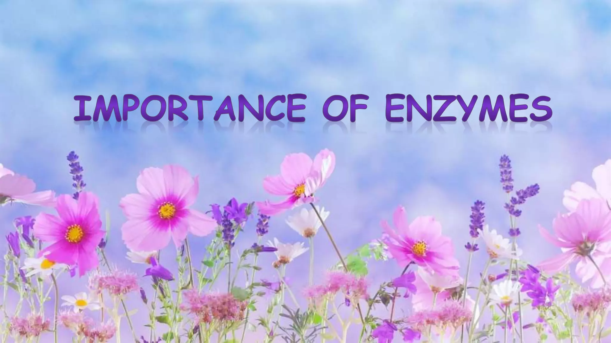 Enzymes In Foods Ppt
