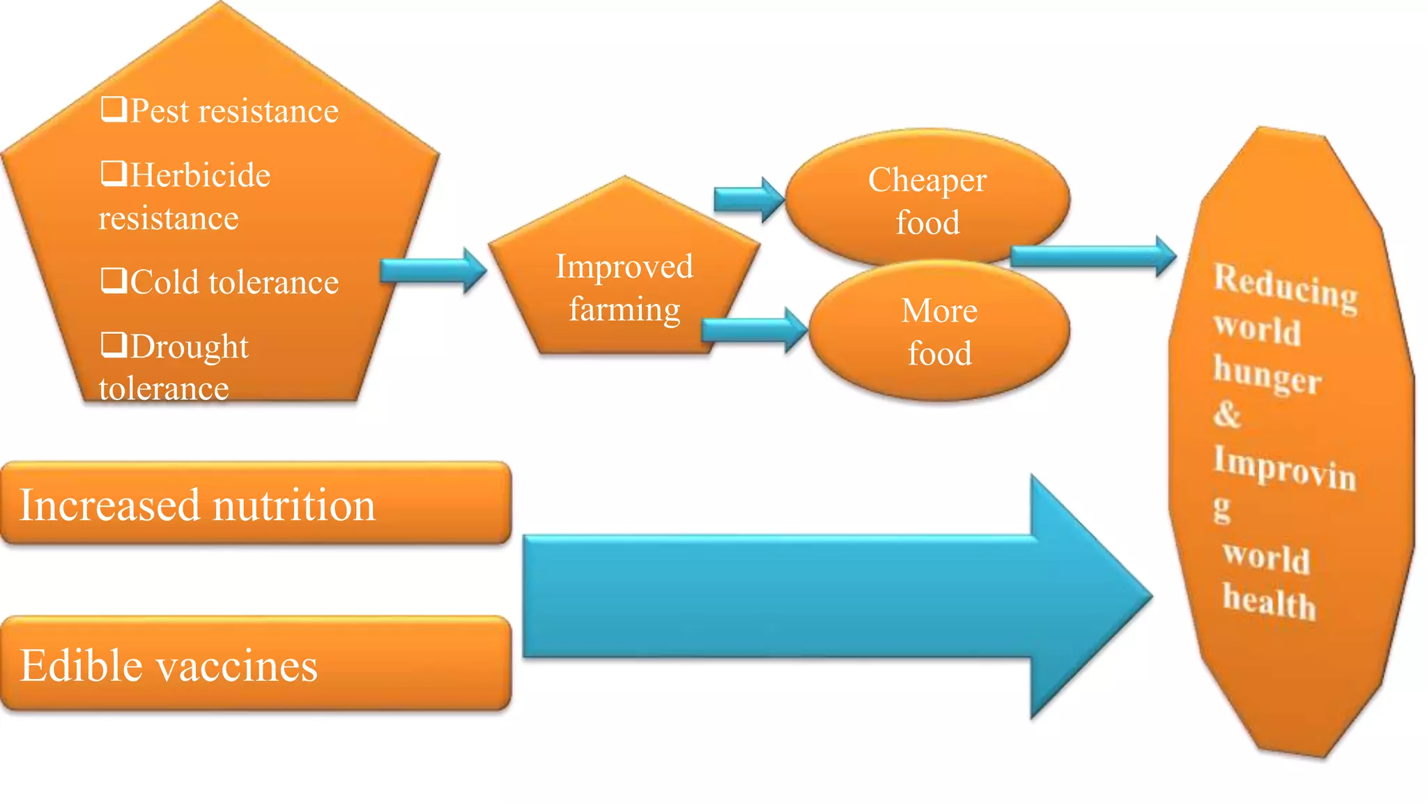 Enzymes in foods | PPTX
