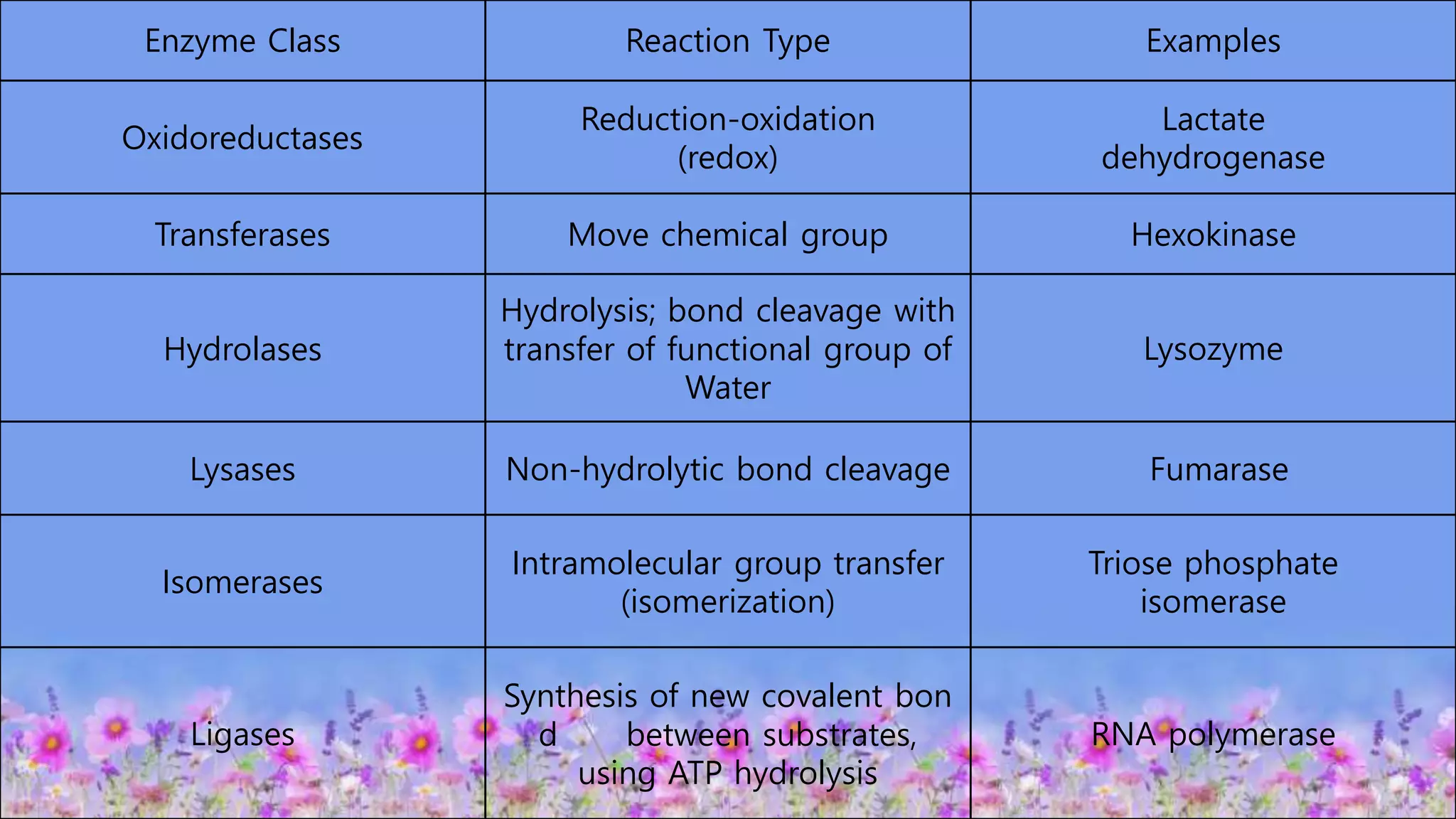 Enzymes In Foods Ppt