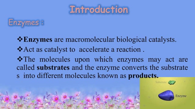 Enzymes in foods | PPTX | Chemistry | Science