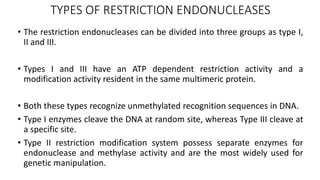 ENZYMES IN GENETIC ENGINEERING.ppt