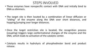ENZYMES IN GENETIC ENGINEERING.ppt
