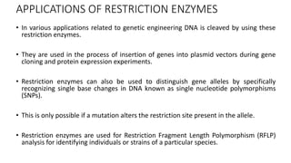 ENZYMES IN GENETIC ENGINEERING.ppt
