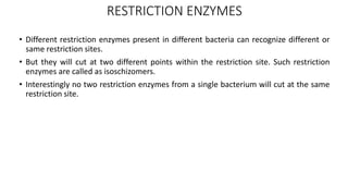 ENZYMES IN GENETIC ENGINEERING.ppt