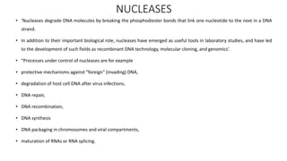 ENZYMES IN GENETIC ENGINEERING.ppt
