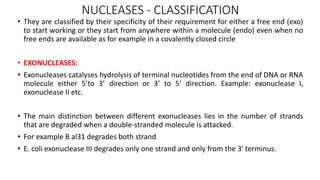 ENZYMES IN GENETIC ENGINEERING.ppt