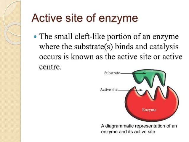 Enzymes in health and diseases final | PPTX | Blood Disorders ...