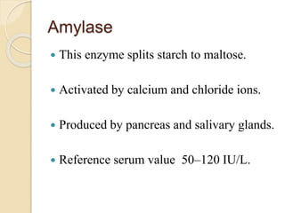 Enzymes in health and diseases final | PPTX