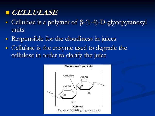 Enzymes in juices.ppt | Chemistry | Science