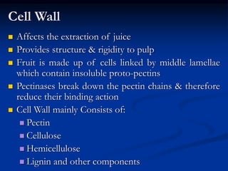 Enzymes in juices.ppt