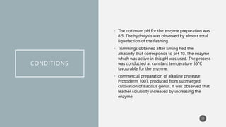 ENZYMES IN LEATHER INDUSTRY.pptx